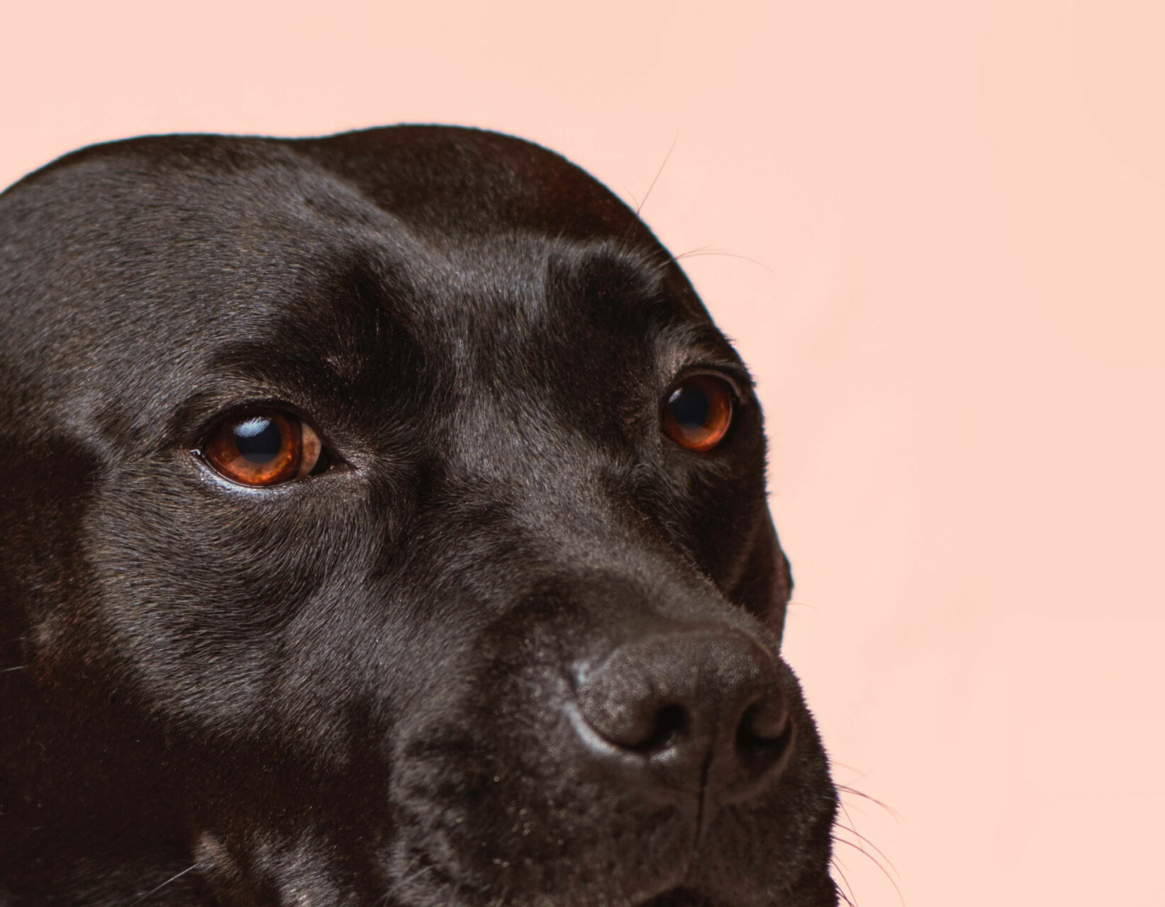 Startseite - crossconnect